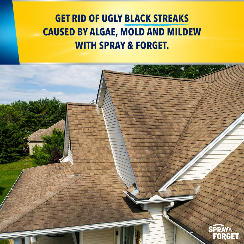 SF Revolutionary Roof Clnr Concentrate GAL – Spray & Forget